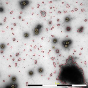 揭示提供见解的信息:Subvisible Particle Characterization的新方法- BioProcess ...