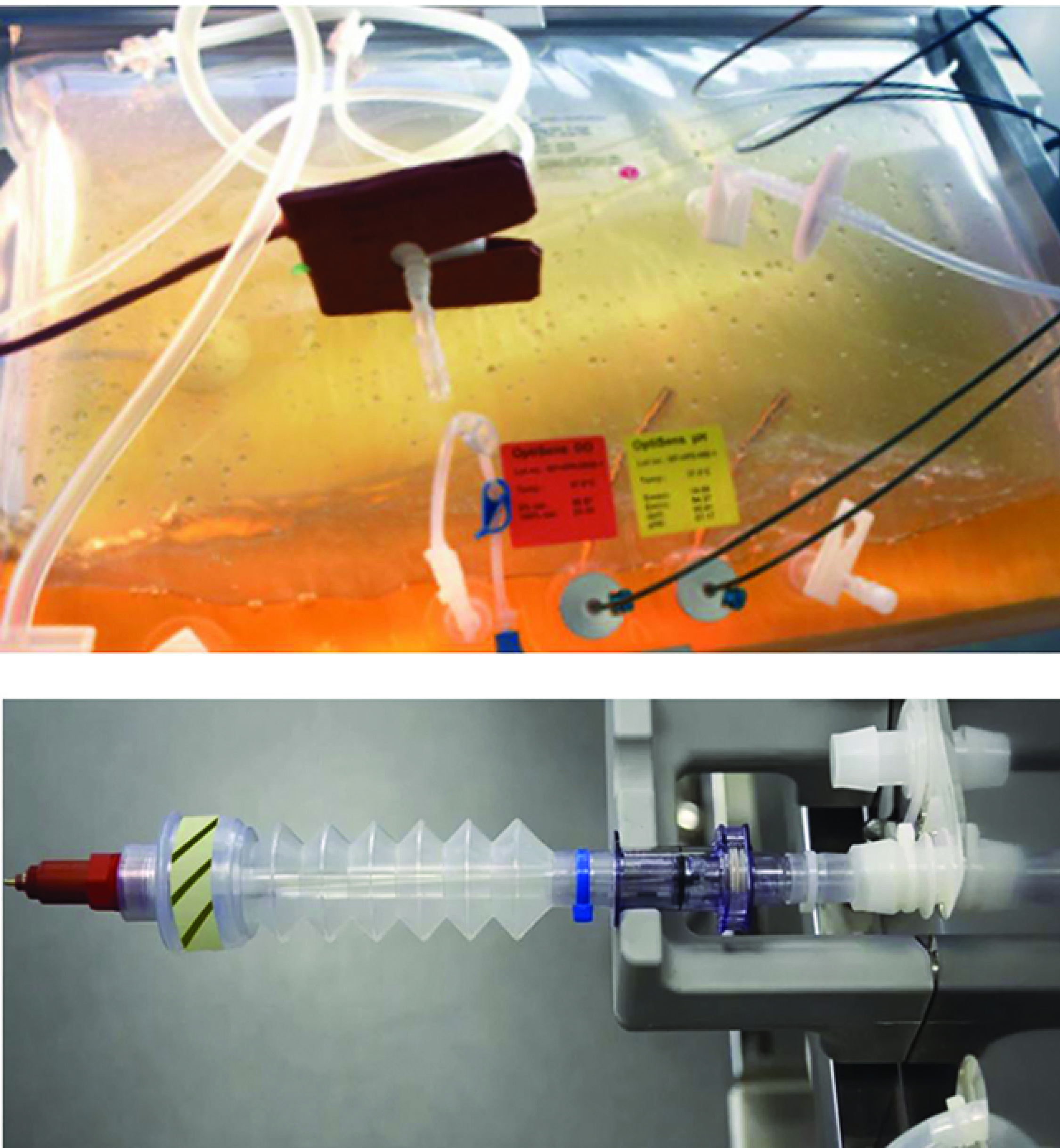 Novaseptum Sampling Manifold Discounted Buying | www.oceanproperty.co.th