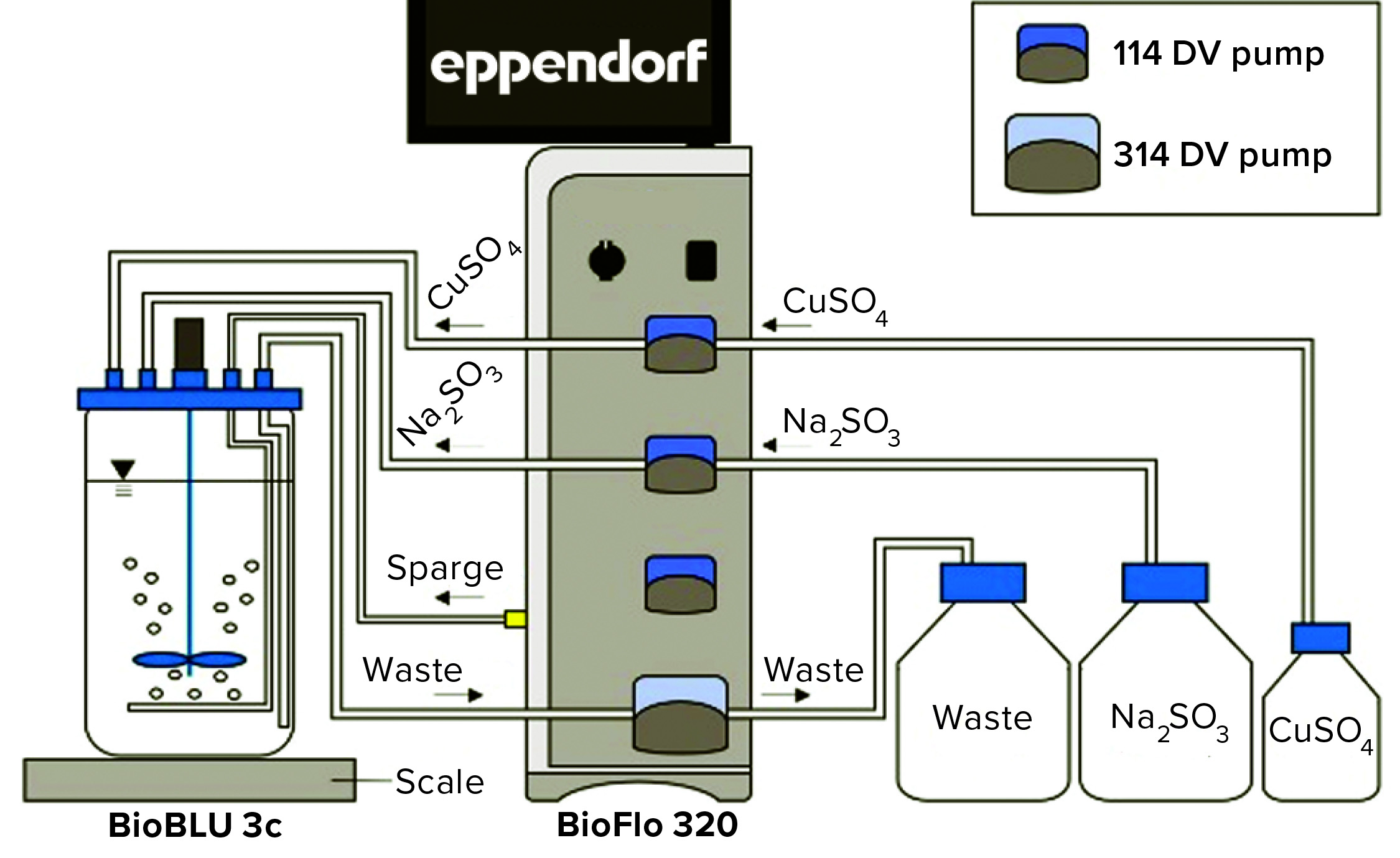 Bioflo 320用于溶解氧控制 - 生物过程国际博客国际