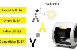 Bioprocess International杂志 - HomeBioProcess International |涵盖全球生物技术行业的 ...