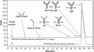 比较SDS-PAGE和CE-SDS进行抗体纯度分析 - BioProcess InternationalBioProocess ...